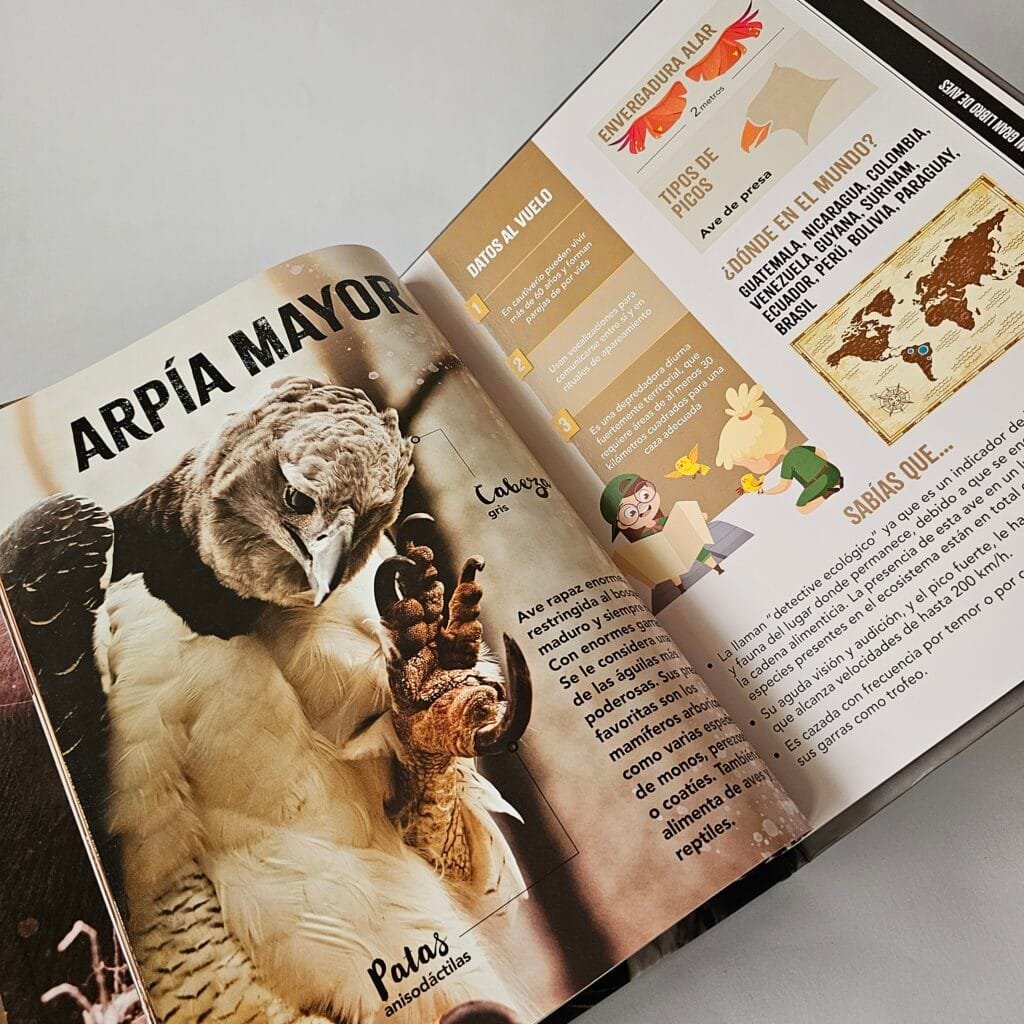 Libro Mi Gran Libro de Aves C- Editorial Sin Fronteras