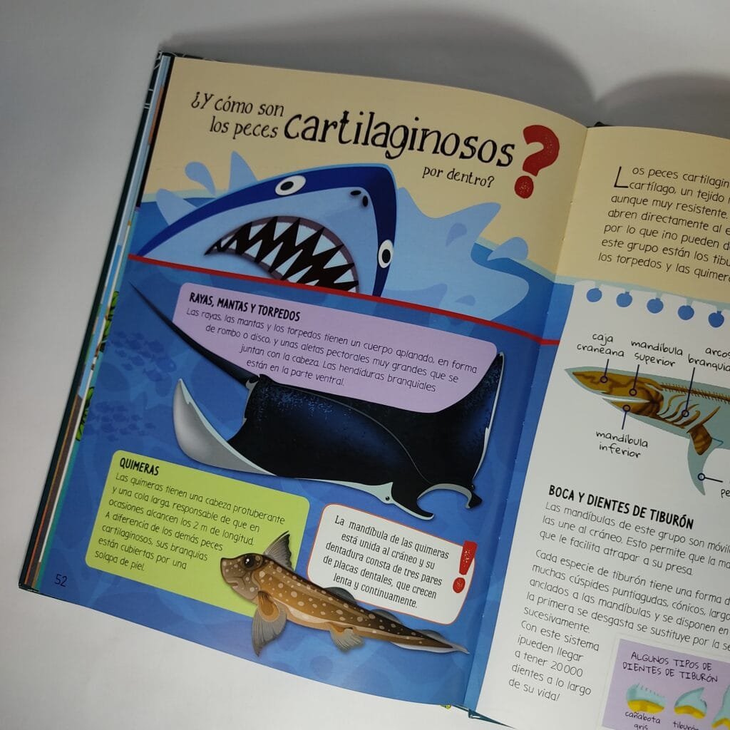 Secretos de la Naturaleza - Editorial Sin Fronteras